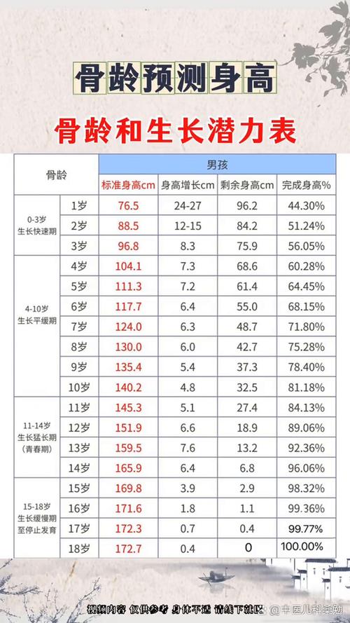 身高预测图标
