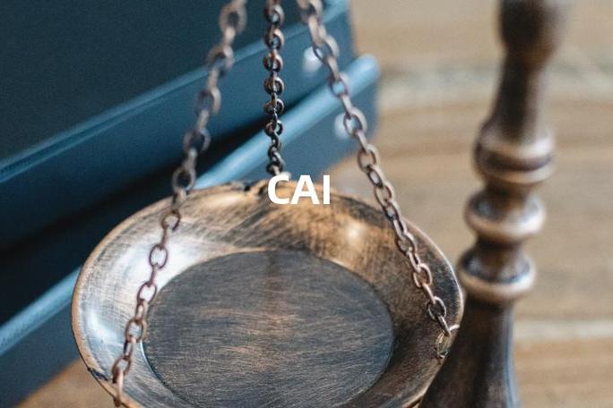 cai代表什么意思图标
