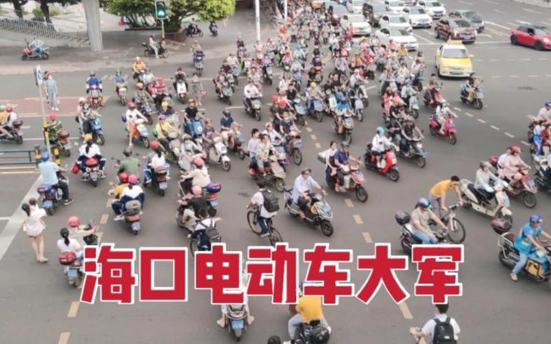 海口为什么这么多电动车图标