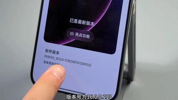 coloros版本怎么降低图标