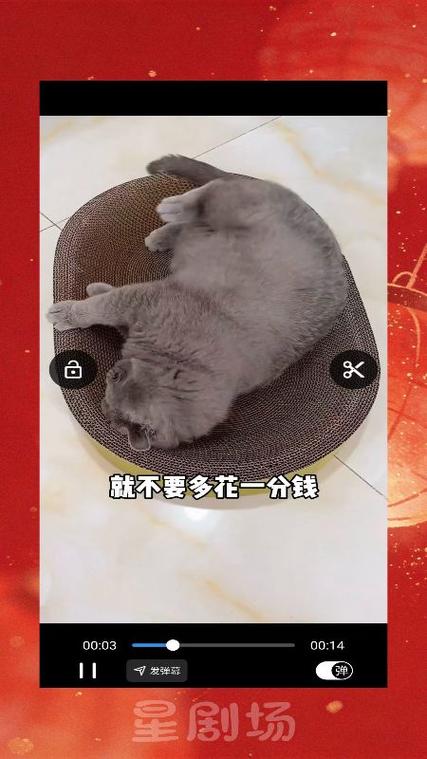星剧场免费影视大全播放器图标