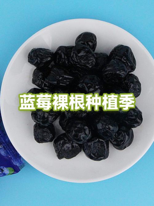 蓝莓一盆适合种几颗截图