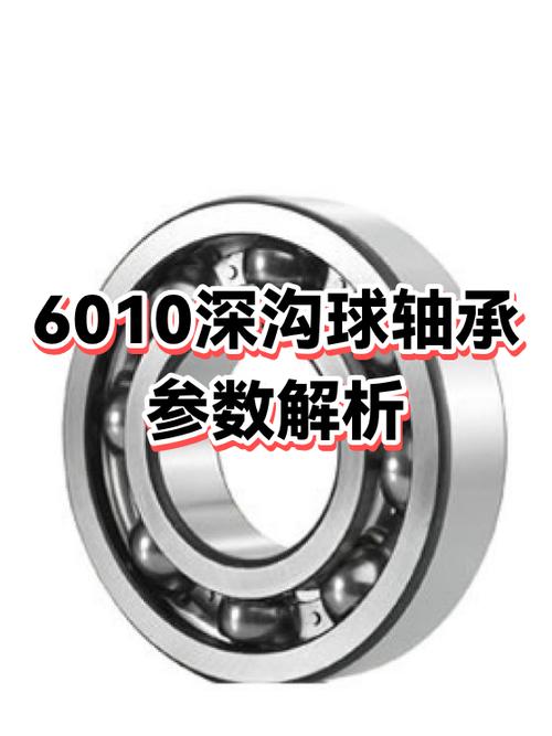 6010轴承内外径尺寸图标