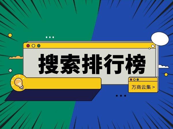 搜索网站排行榜图标