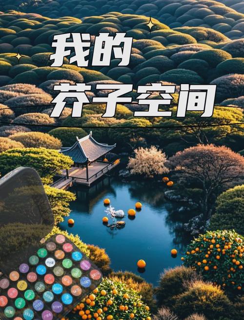 芥子空间2021最新下载图标