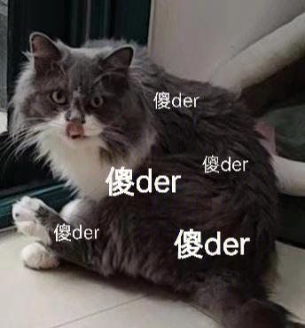 女孩叫你傻der是什么意思截图