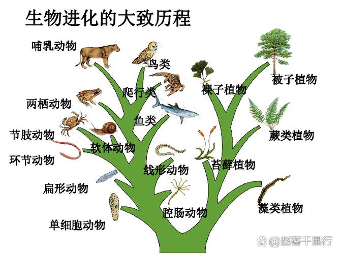 原始生存进化图标