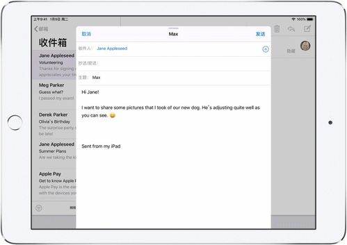 ipadair3可以分屏吗图标
