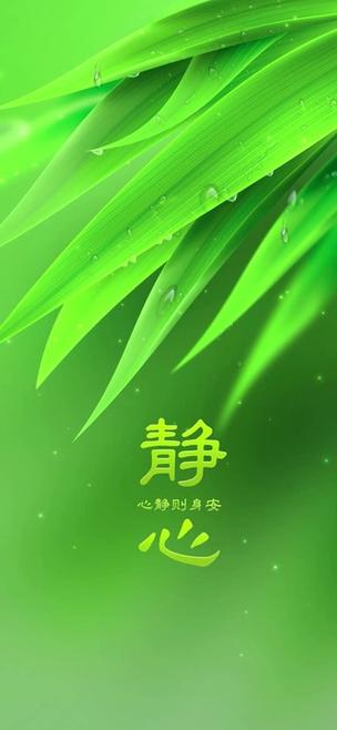 ipad屏幕跳动闪烁图标