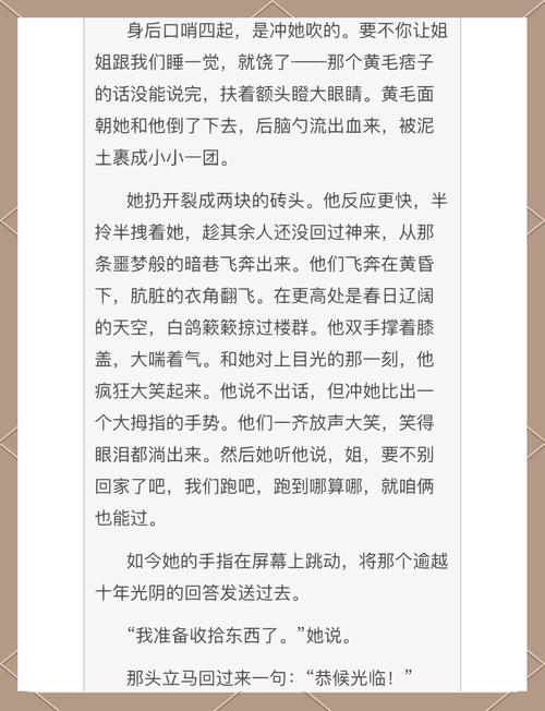 小城良家小说截图