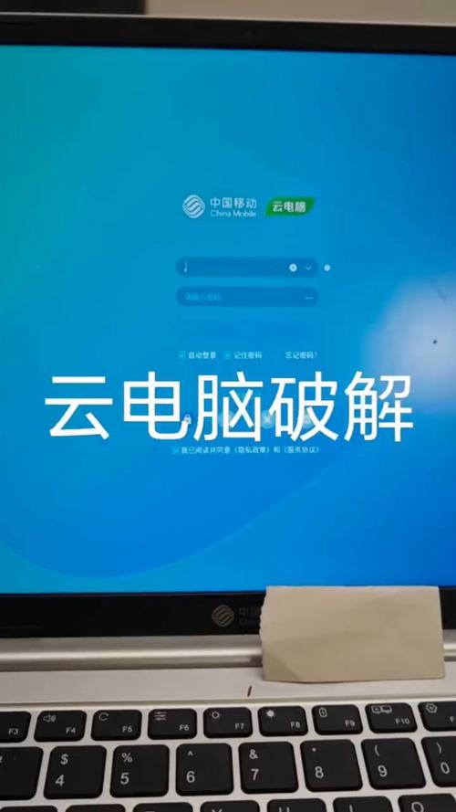 WPS2025电脑永久破解版图标