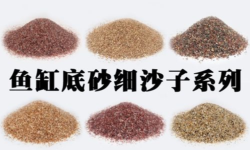 雨林砂和黄金砂的区别图标