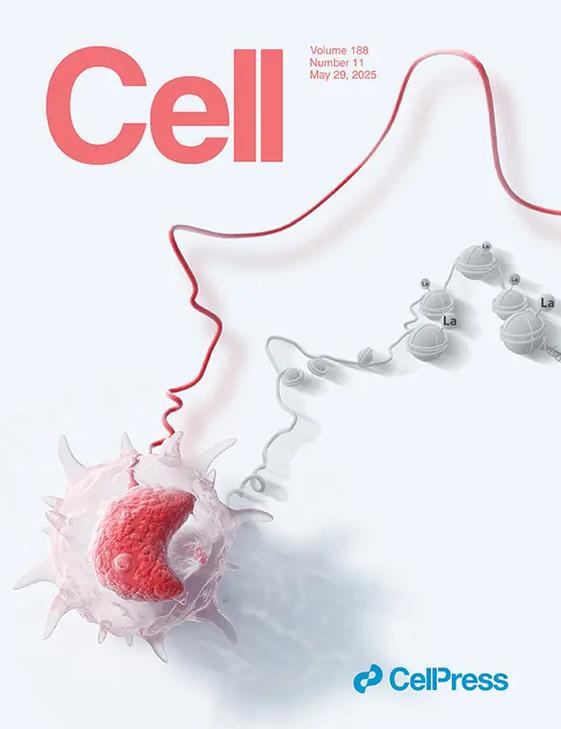 cell英文图标