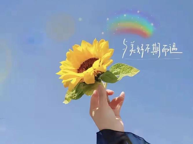 不期而遇如期而至图标