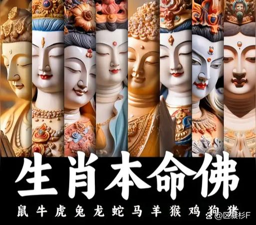 十二生肖的守护神是谁图标
