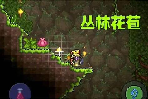 泰拉瑞亚世纪之花花苞图标