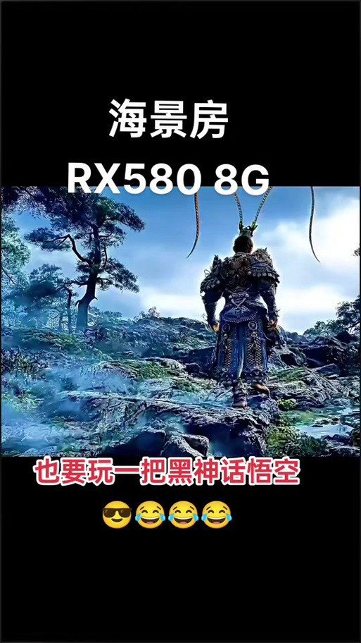 rX560能玩黑悟空吗图标