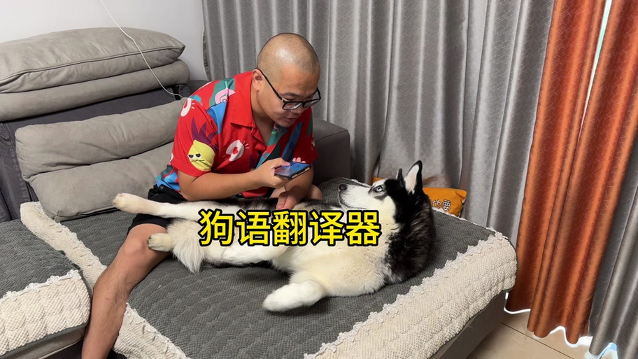 用狗语翻译器对狗说话图标