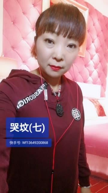 大力快手图标