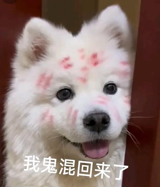 可爱沙雕趣味的表情包图标