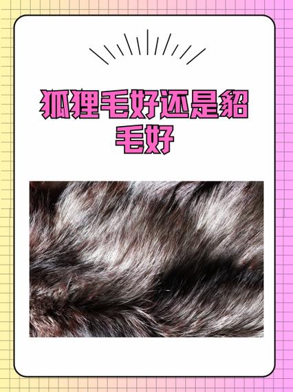 貂毛长还是短好图标