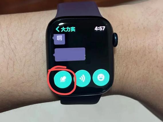 苹果手表可以听微信语音消息吗