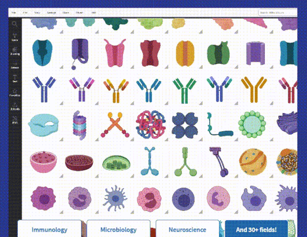 biorender怎么免费使用截图