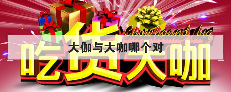 大咖和大伽是什么意思截图