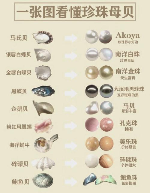 珍珠贝的身高体重截图