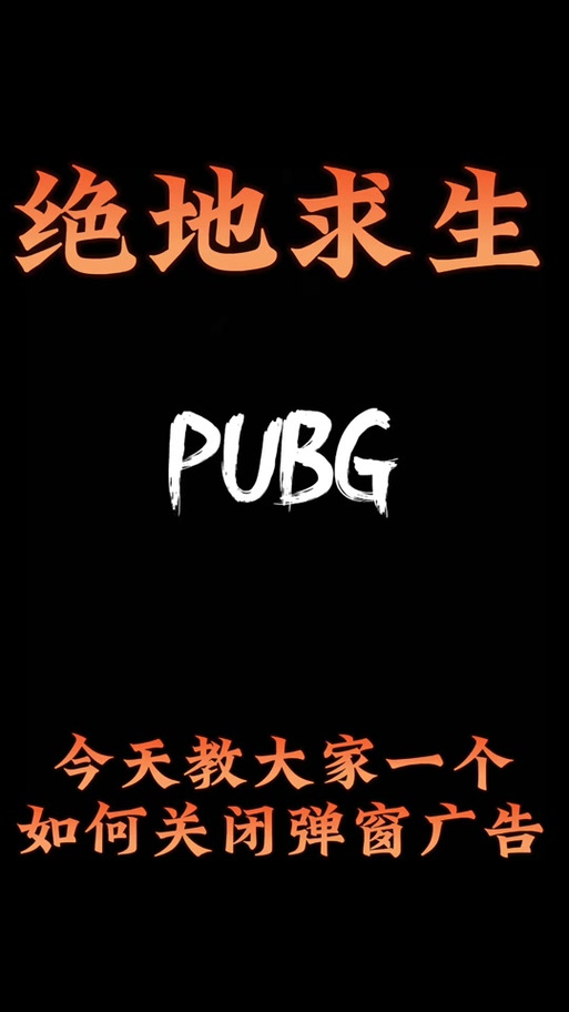 pubg开始弹出一个框截图