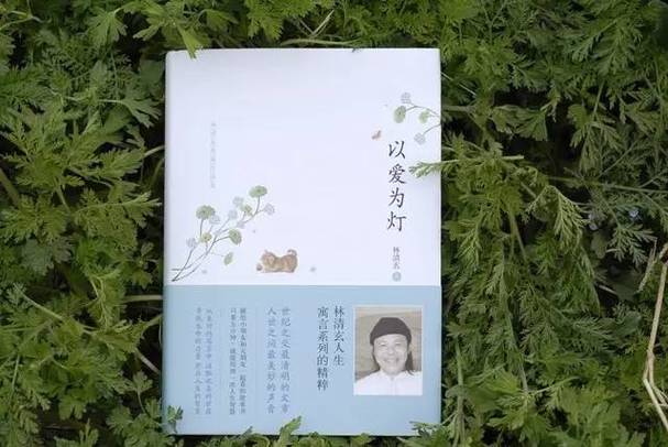 林清玄,小满图标