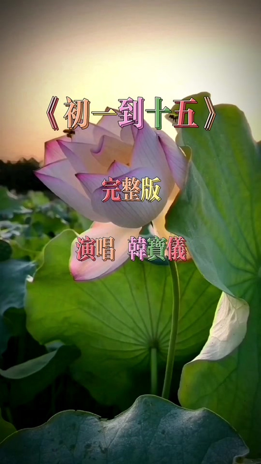 搜谱网 歌曲简谱图标