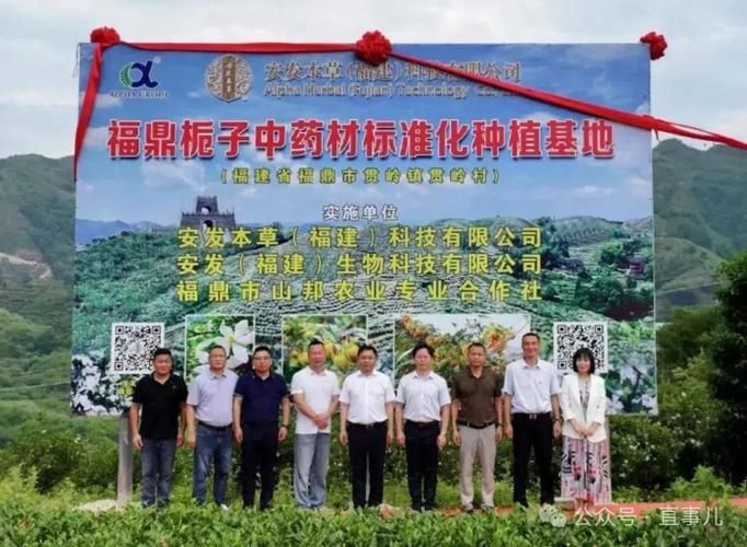 中药种植合作厂家有哪些图标