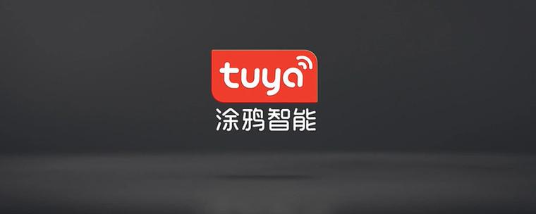 涂鸦智能有电脑版吗截图