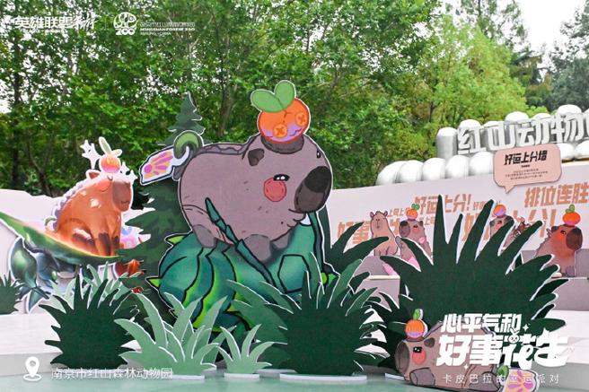 心守护联盟