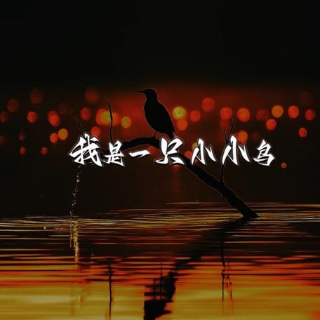 我是一只小小鸟表达什么意思图标