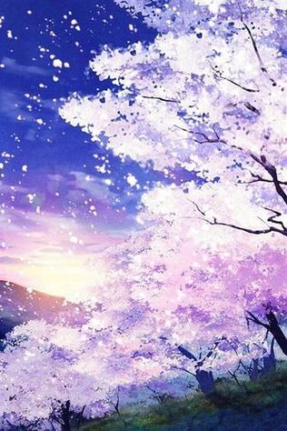樱花动漫百度云6图标