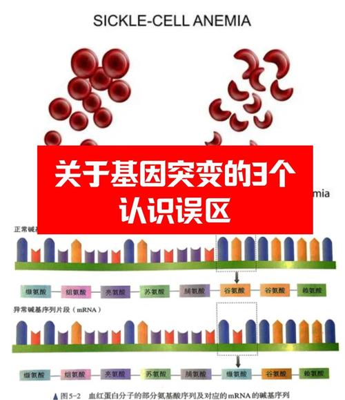 什么叫基因突变图标