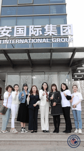 诗安国际集团图标