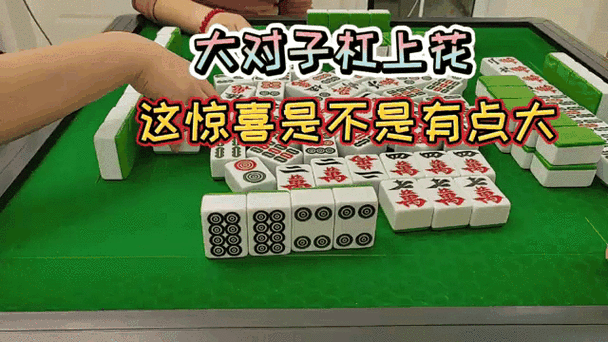 麻将摸到花有什么用截图