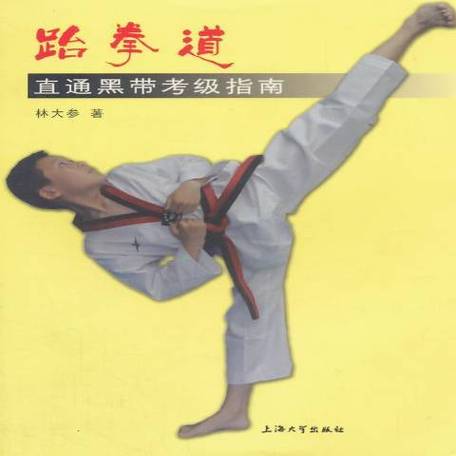 跆拳道考级收费标准图标