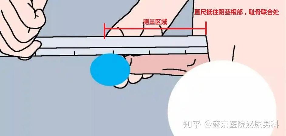如何拍照测量长度