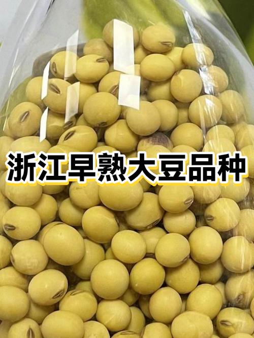 豆粒养猪靠谱吗图标