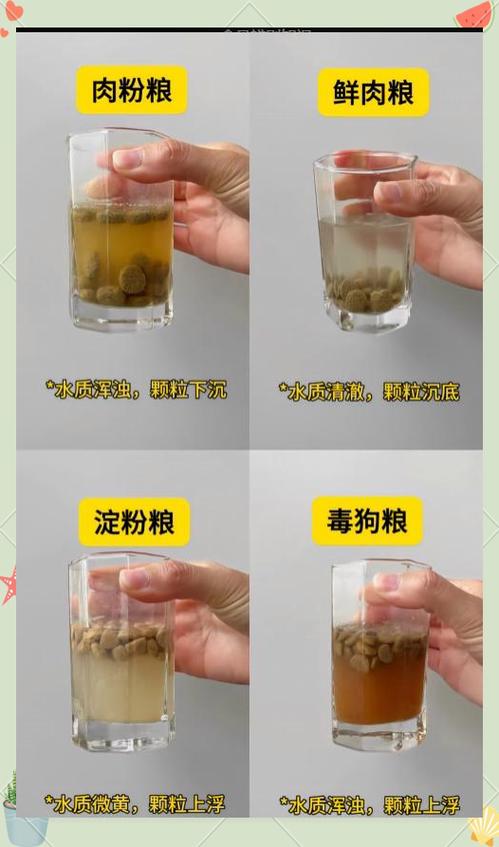 狗粮泡水鉴别好坏图标