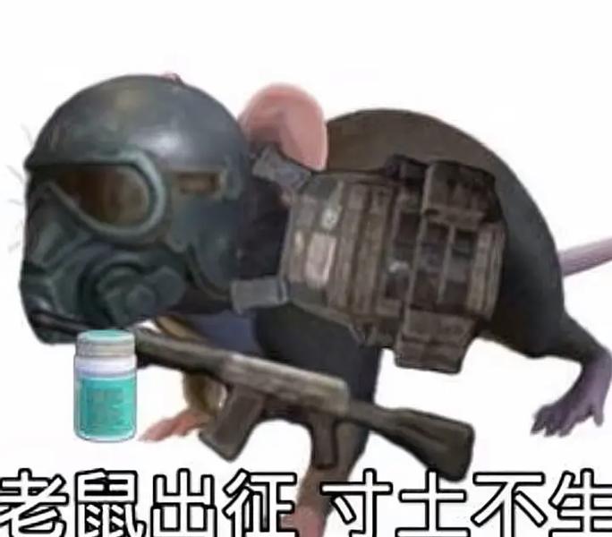 鼠神b模式图标