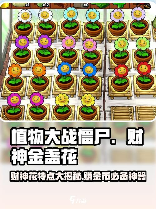 金盏花为什么不吐金币截图