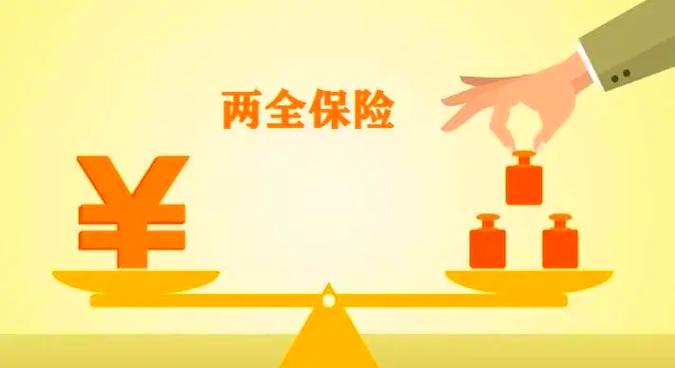 金穗财富永恒两全保险图标
