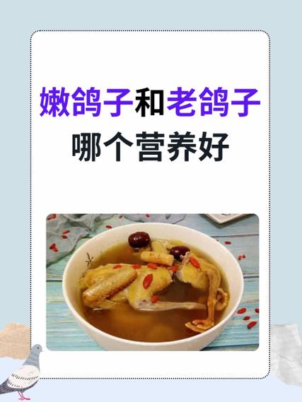 鸽子肉的营养价值及功效图标