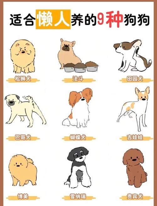 十大适合懒人养的宠物图标