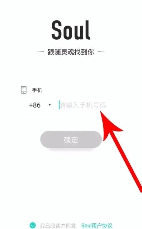 soul密码忘了手机号注销了图标